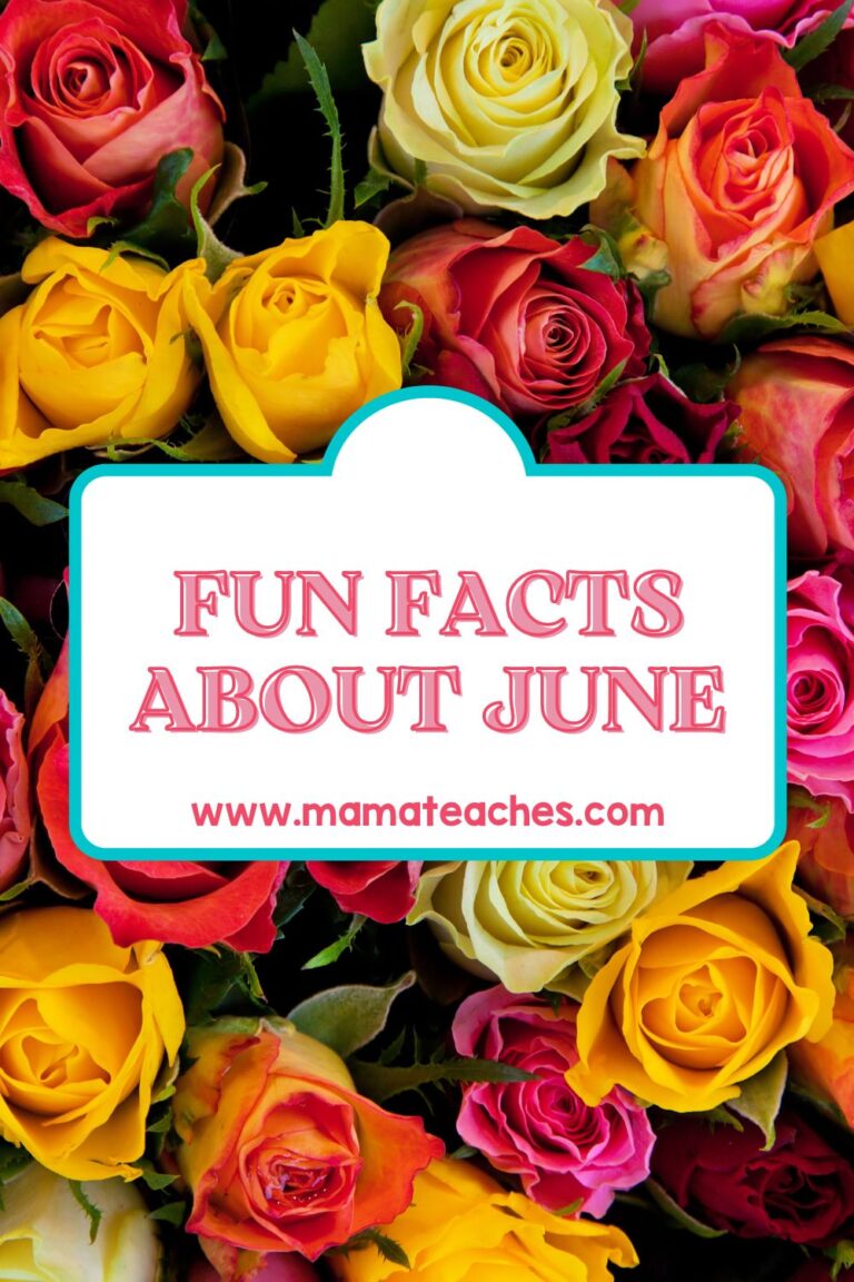 Fun Facts About June - Mama Teaches