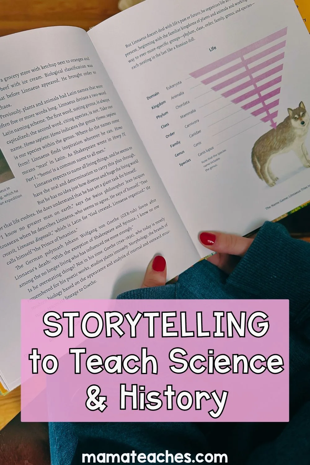 Transforming Learning Through Storytelling - Mama Teaches
