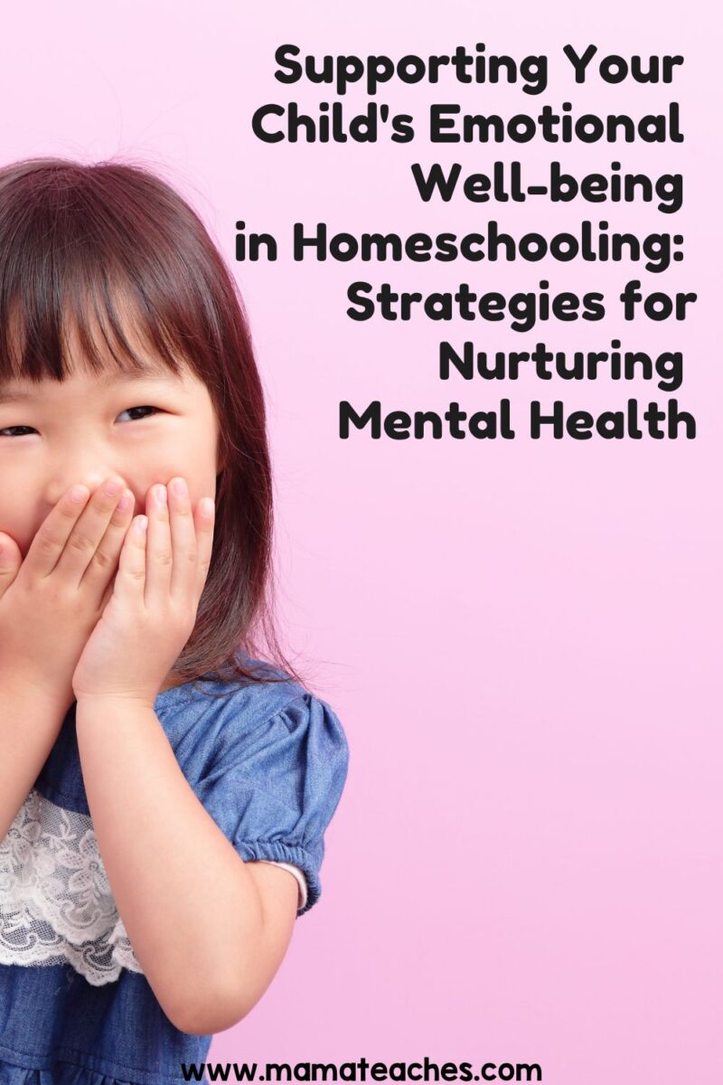 Supporting Your Child's Emotional Well-being in Homeschooling ...