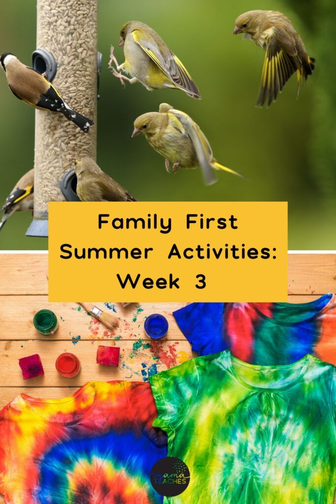 Family First Summer Activities: Week 3 - Mama Teaches