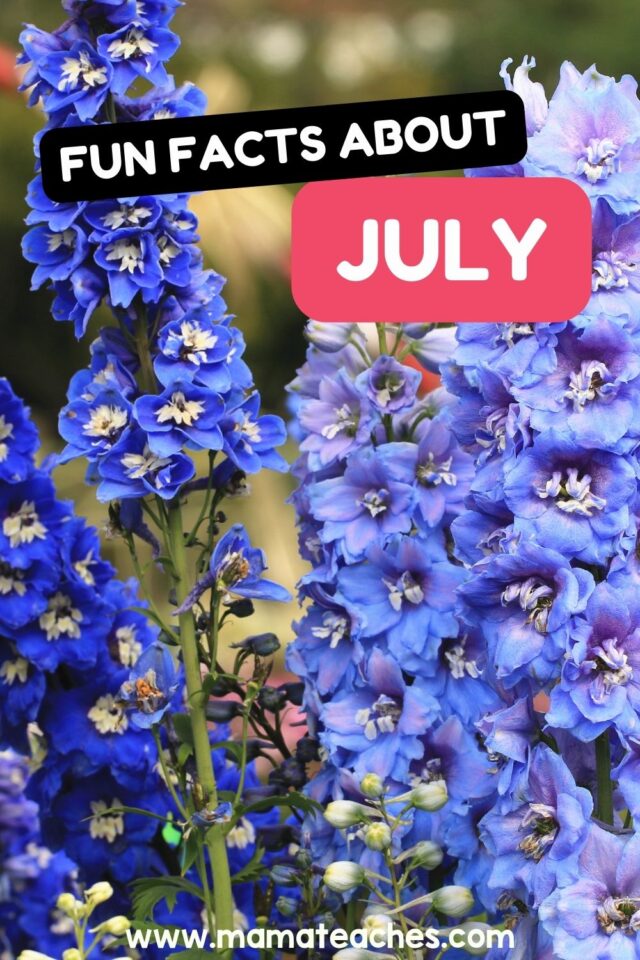 Fun Facts About July - Mama Teaches
