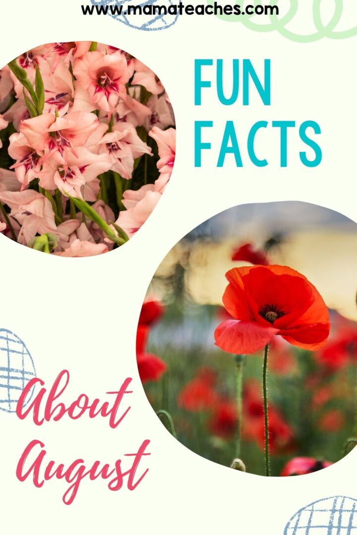 Fun Facts About August - Mama Teaches