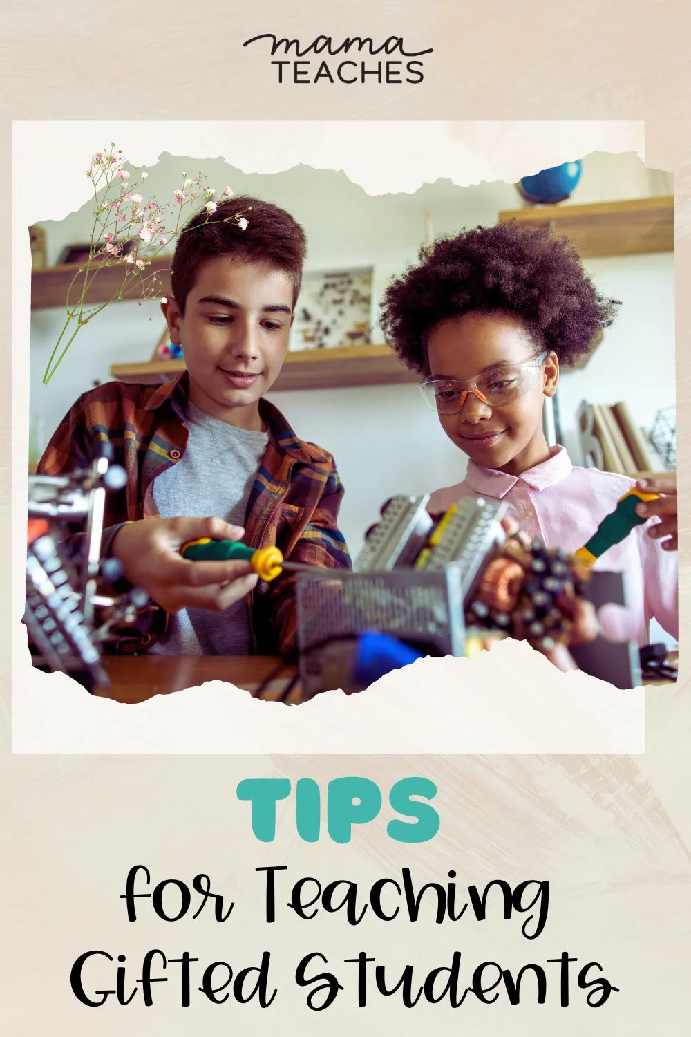 Tips for Teaching Gifted Students - Mama Teaches