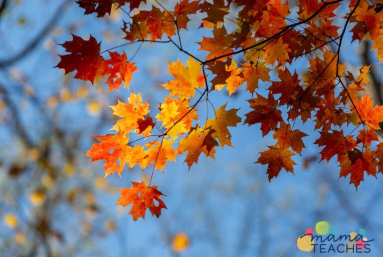 25 Fall Writing Prompts for Middle Schoolers - Mama Teaches