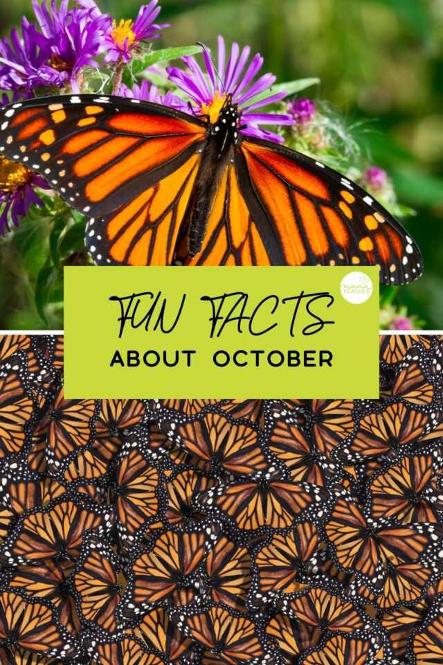 Fun Facts About October - Mama Teaches