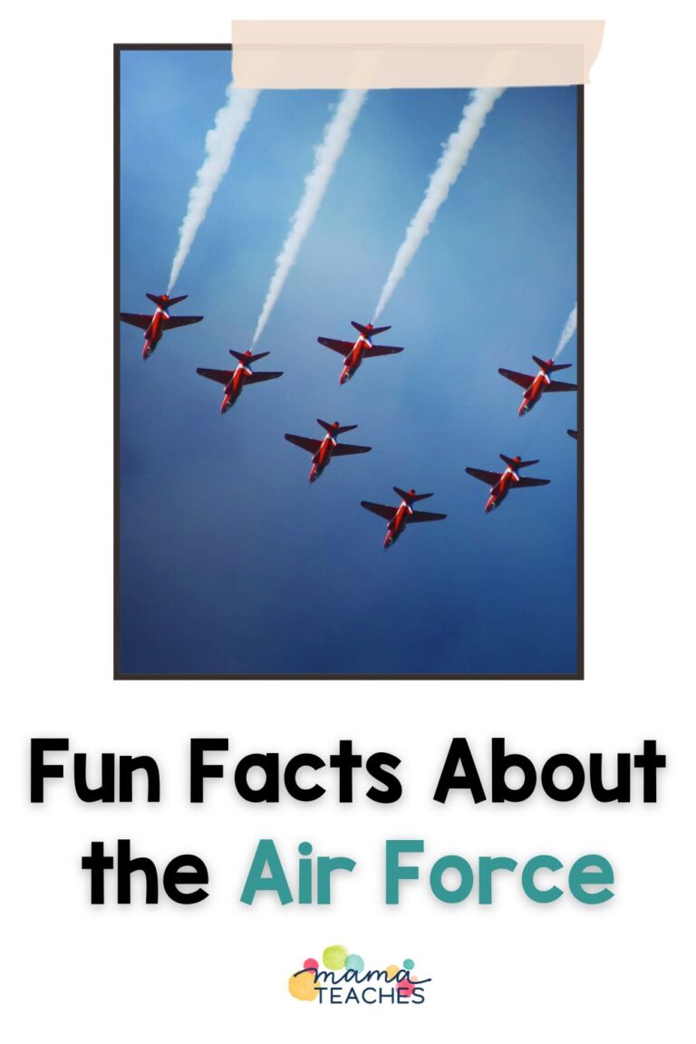 Fun Facts About the Air Force - Mama Teaches