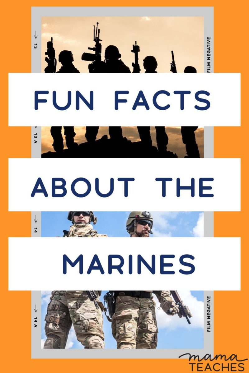 Fun Facts About the Marines - Mama Teaches