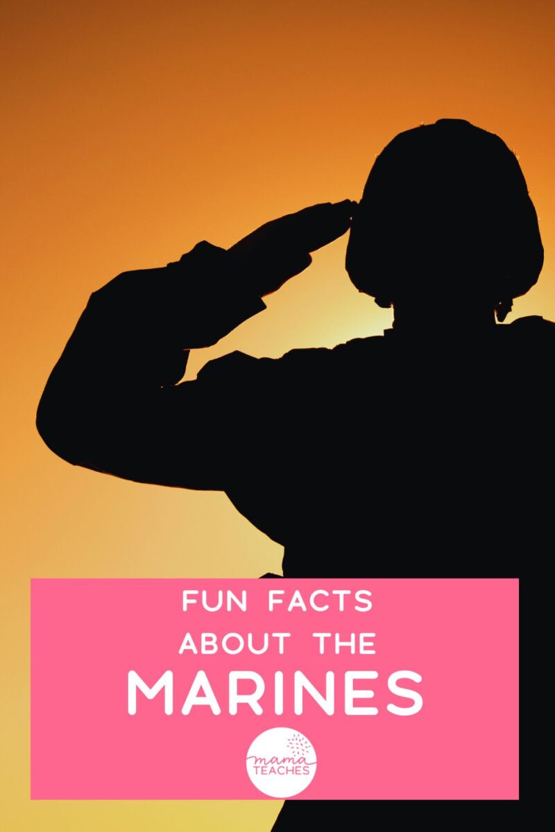 Fun Facts About the Marines - Mama Teaches