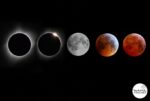 Fun Facts About the Lunar Eclipse - Mama Teaches