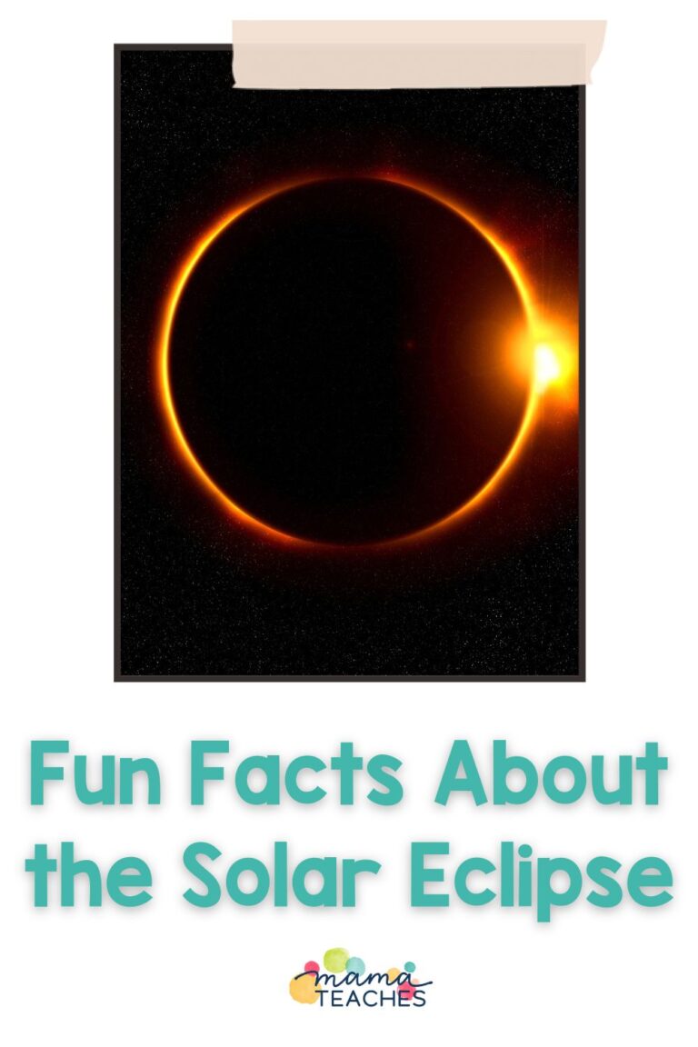 Fun Facts About the Solar Eclipse - Mama Teaches